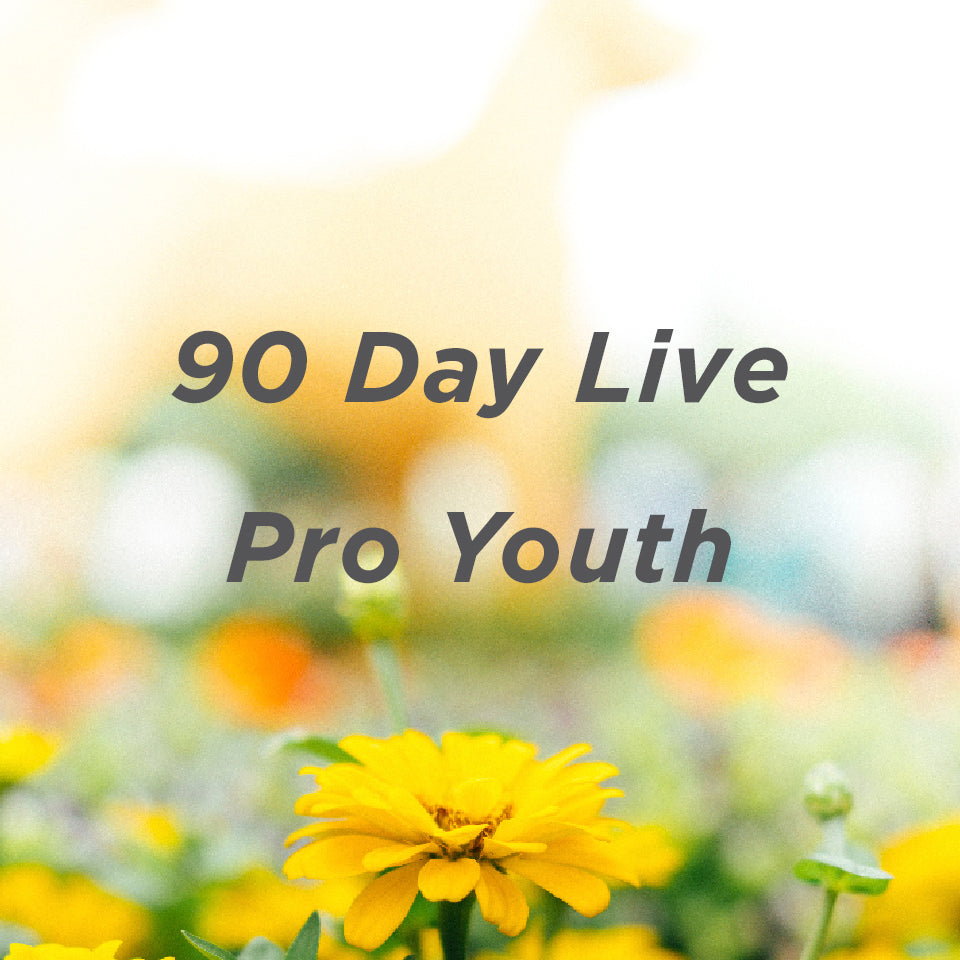 90 Day Live Pro-Youth – RA Skin Care